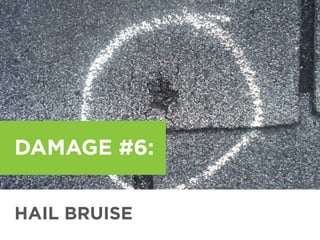 Slideshow: 7 Types of Roof Shingle Damage | PPT