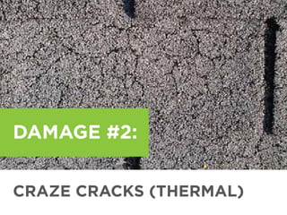 Slideshow: 7 Types of Roof Shingle Damage | PPT