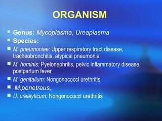 mycoplasma | PPT