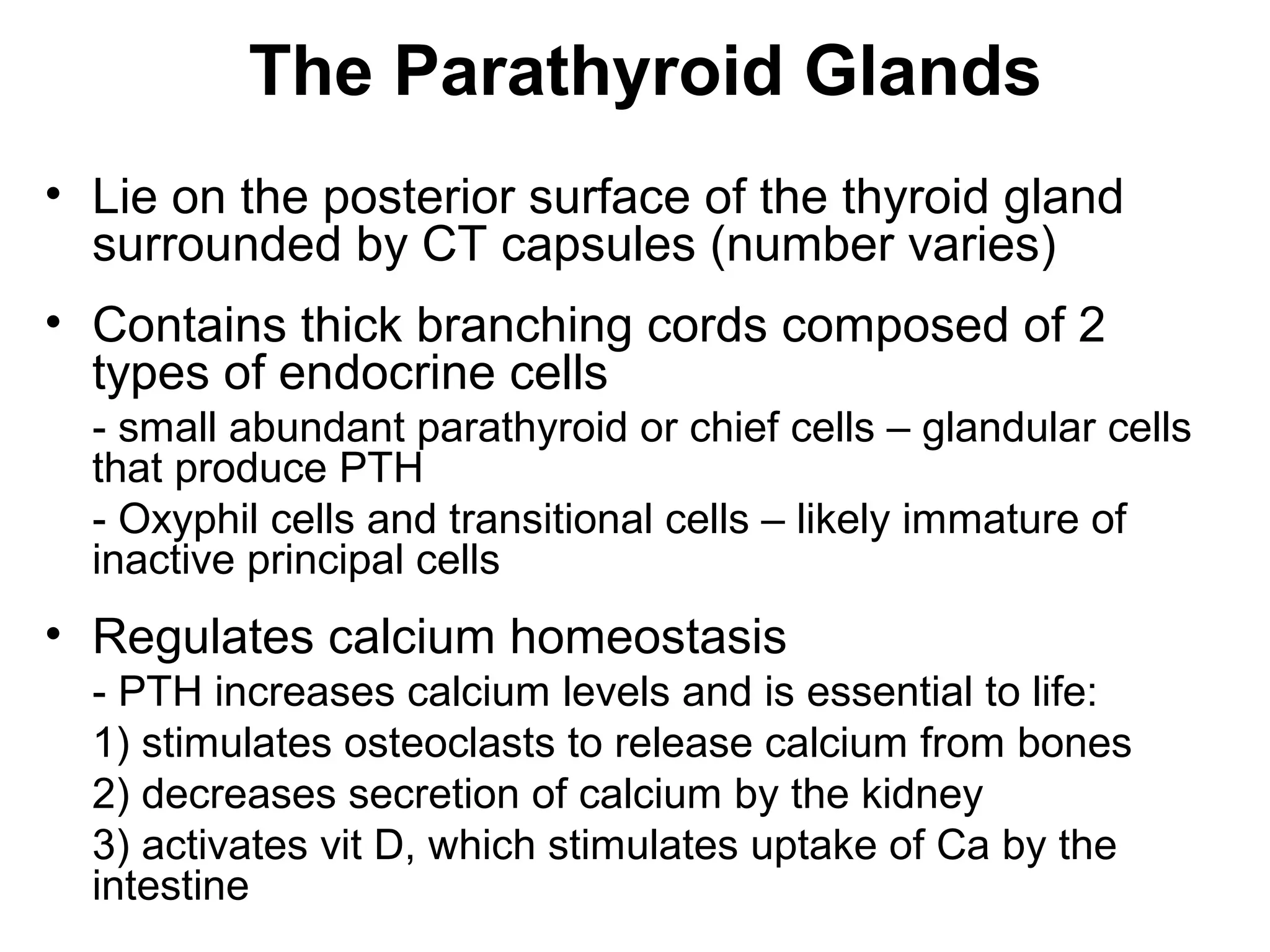 18. endocrine system | PPT
