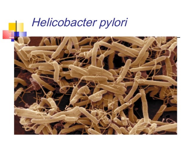 18. болезни желудка