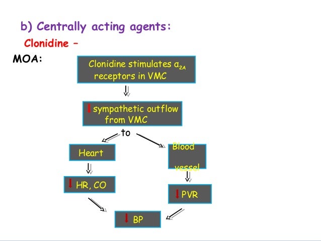 18.antihypertensives