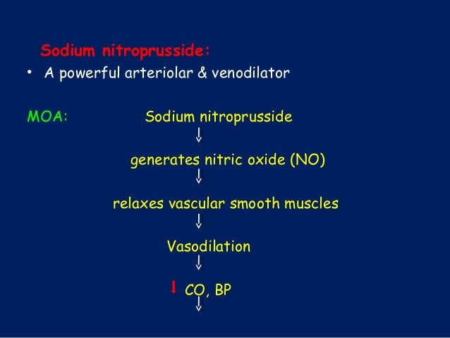 18.antihypertensives