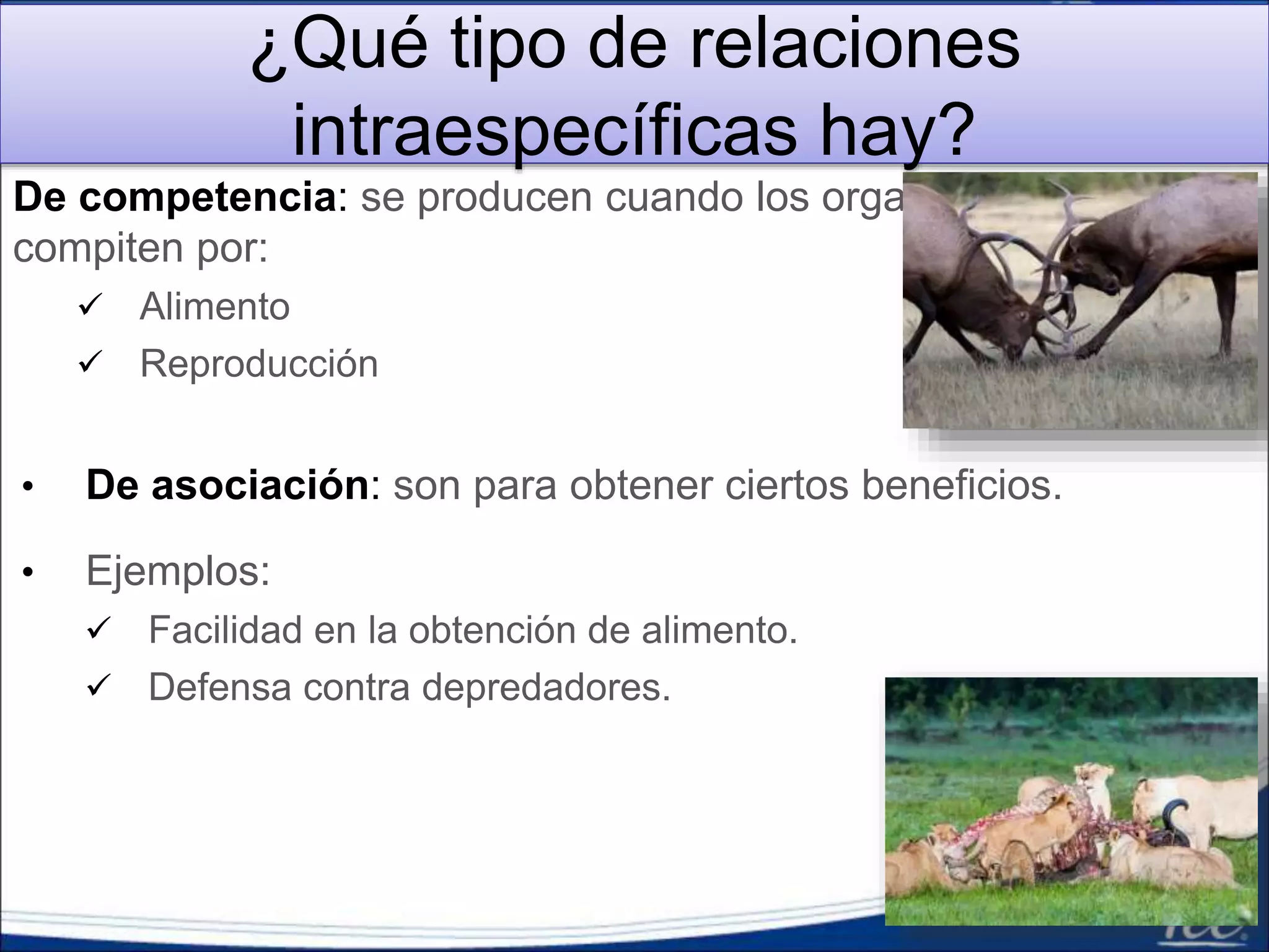 18. relaciones en los ecosistemas | PPTX