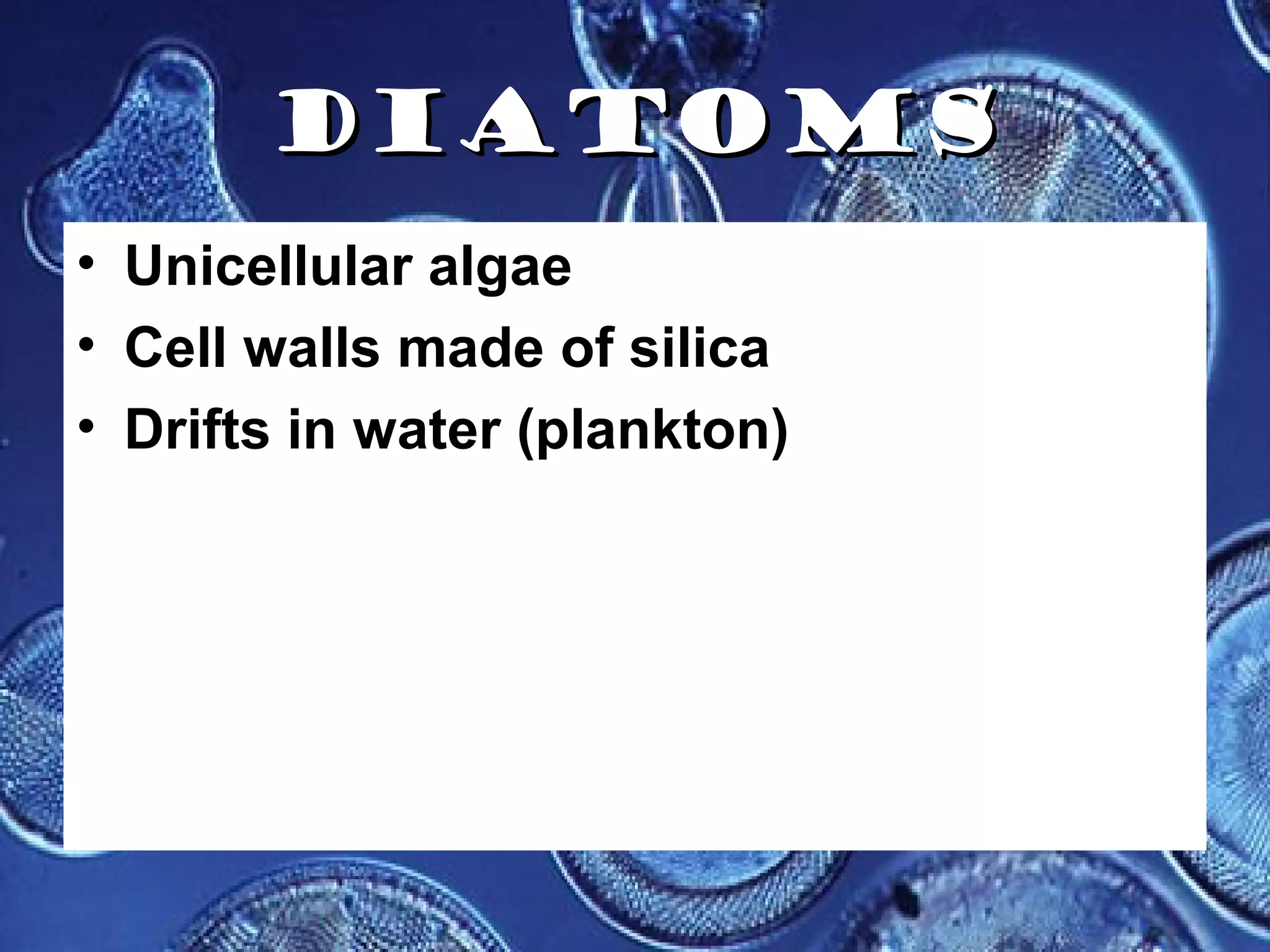 Simple Organisms Notes | PPT