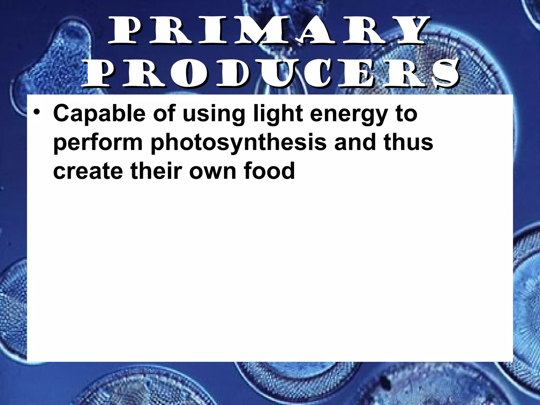 Simple Organisms Notes | PPT