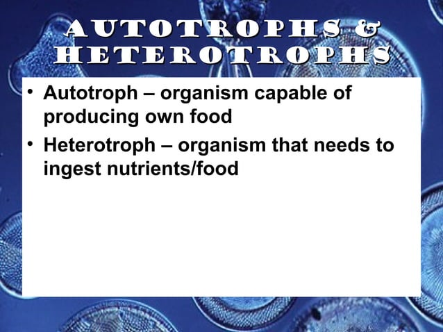 Simple Organisms Notes | PPT