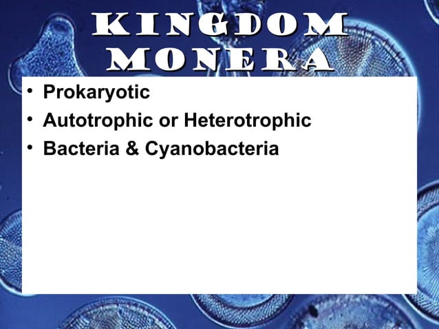 Simple Organisms Notes | PPT