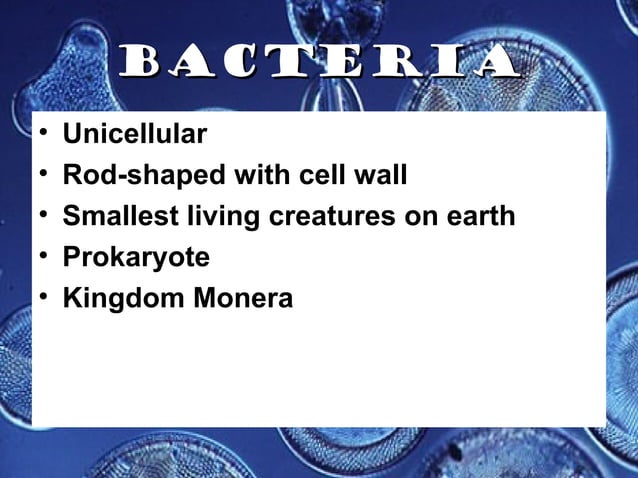 Simple Organisms Notes | PPT