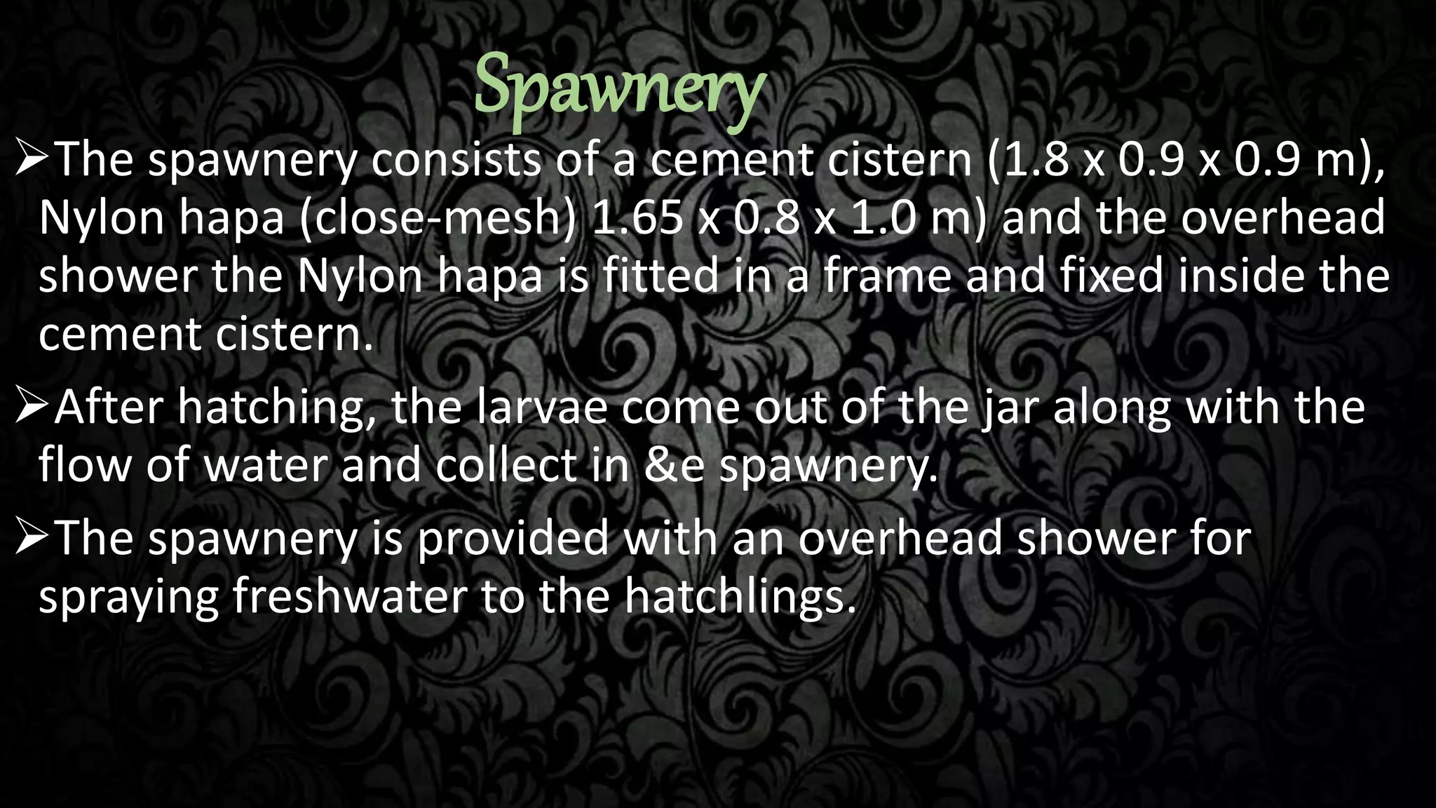 Glass jar hatchery | PPTX