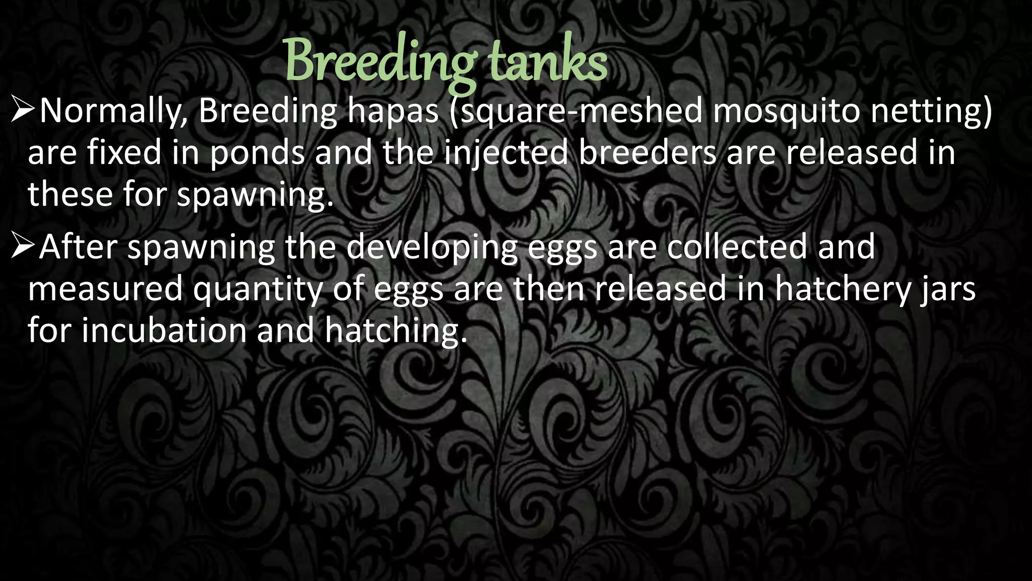 Glass jar hatchery | PPTX