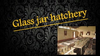 Glass jar hatchery | PPTX