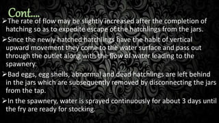 Glass jar hatchery | PPTX