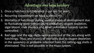 Glass jar hatchery | PPTX