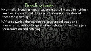 Glass jar hatchery | PPTX