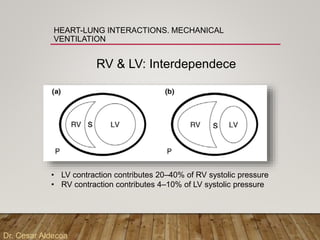 18. #ifad2019 heart lung interactions (aldecoa) | PPTX