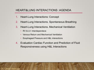 18. #ifad2019 heart lung interactions (aldecoa) | PPTX