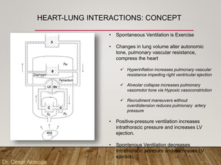 18. #ifad2019 heart lung interactions (aldecoa) | PPTX