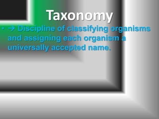 18 1 Classification | PPTX