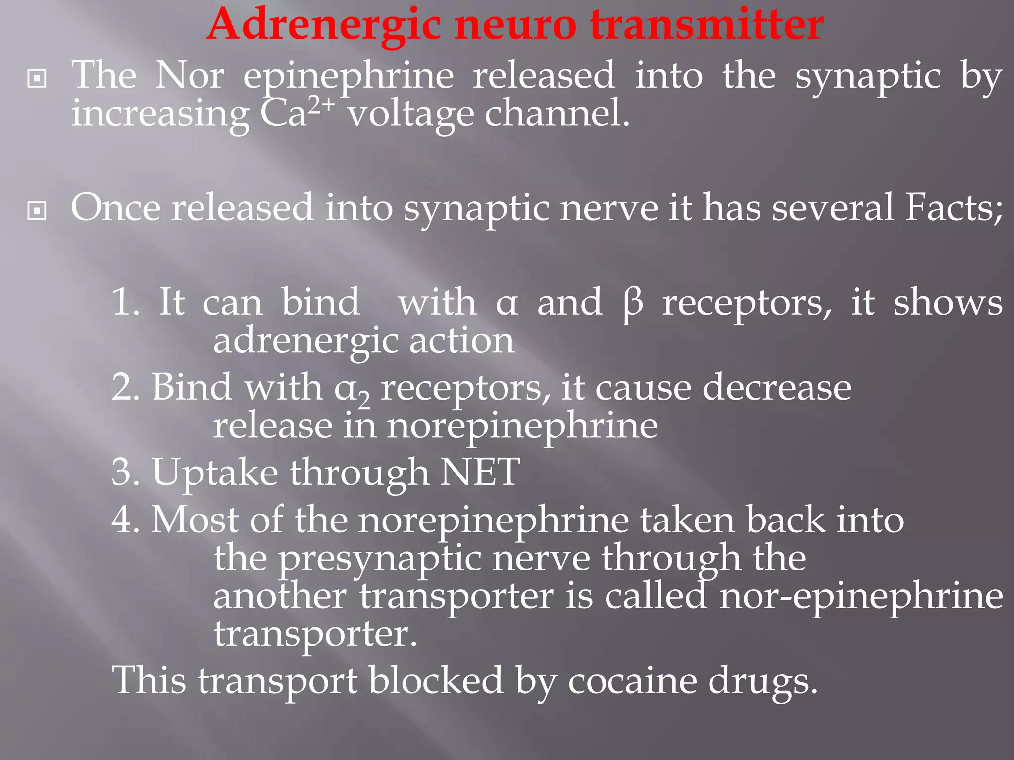 Introduction to Autonomic Nervous System (ANS) | PPTX
