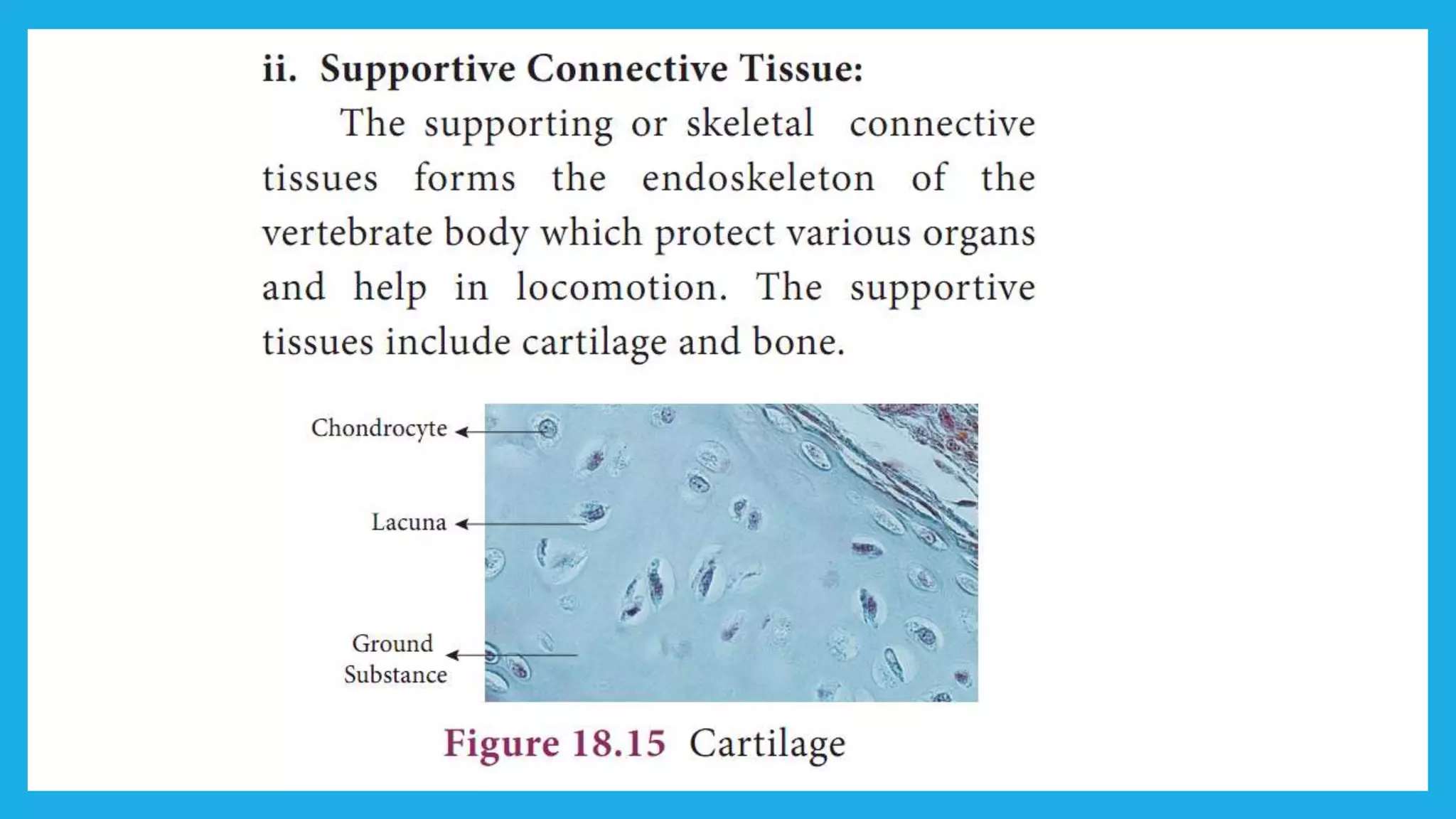 18. Pedagogy of Biological Science (Part II ) - Organisation of tissues ...
