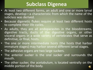 18. phylum platyhelminthes II Full Explanation | PPT
