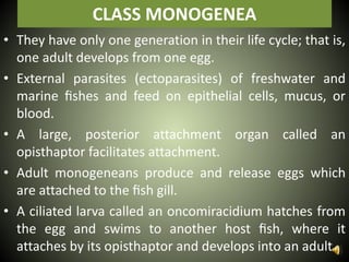 18. phylum platyhelminthes II Full Explanation | PPT