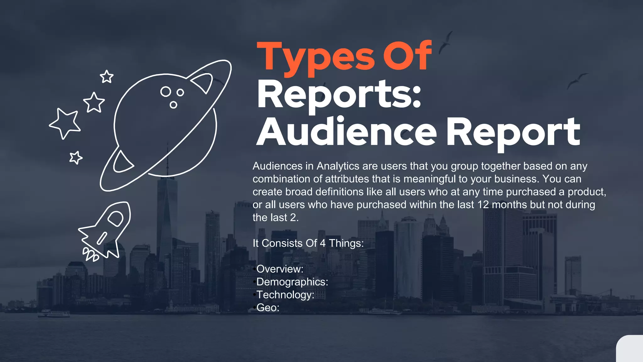 Types Of Reports: Audience Report | PPT