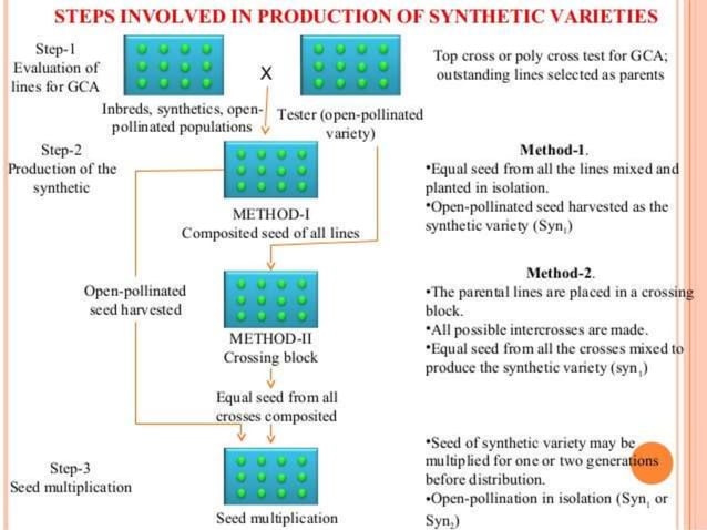 18. synthetics and composites | PPTX