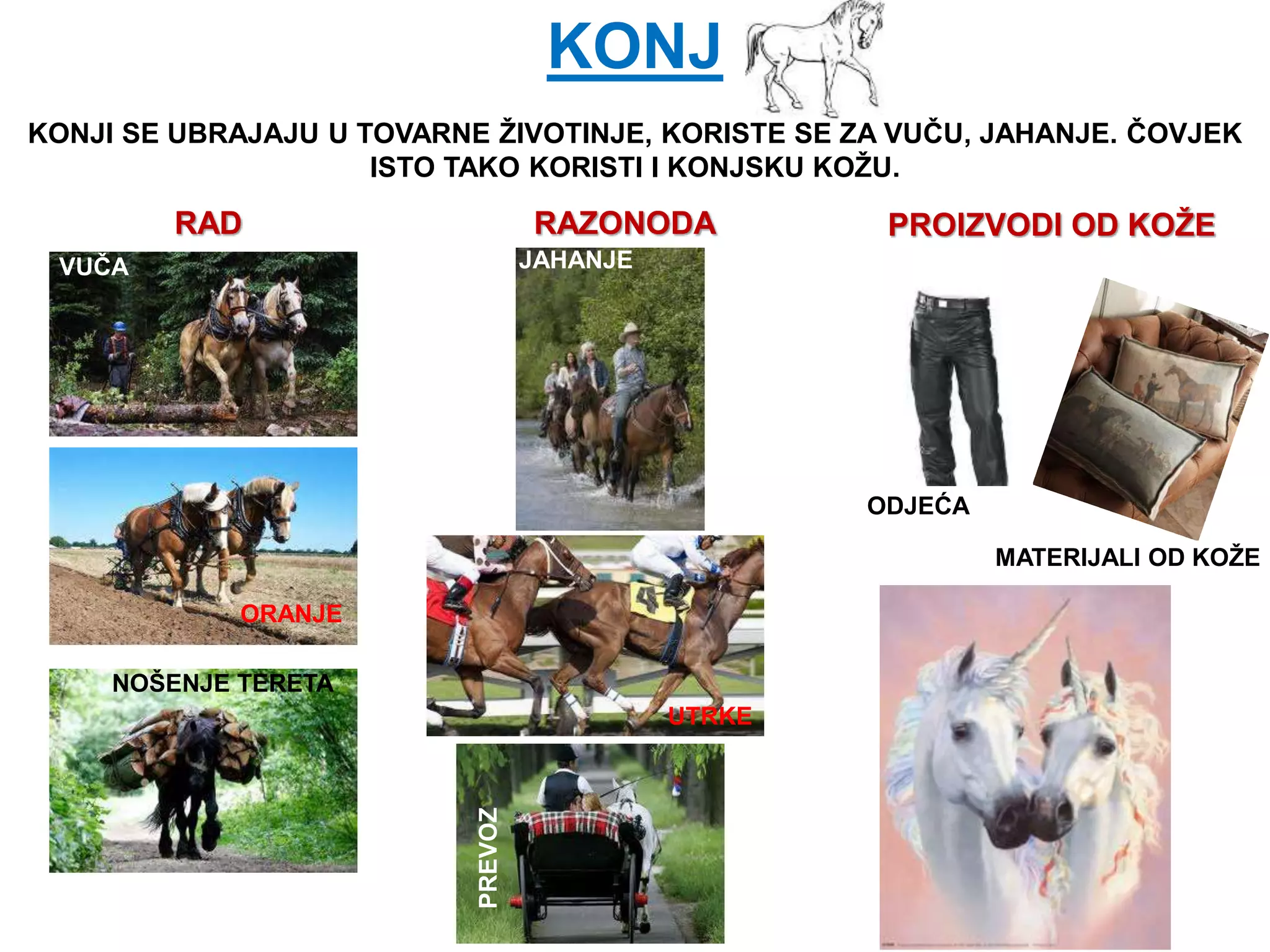 18. mo ishrana i koristi domacih zivotinja | PPT