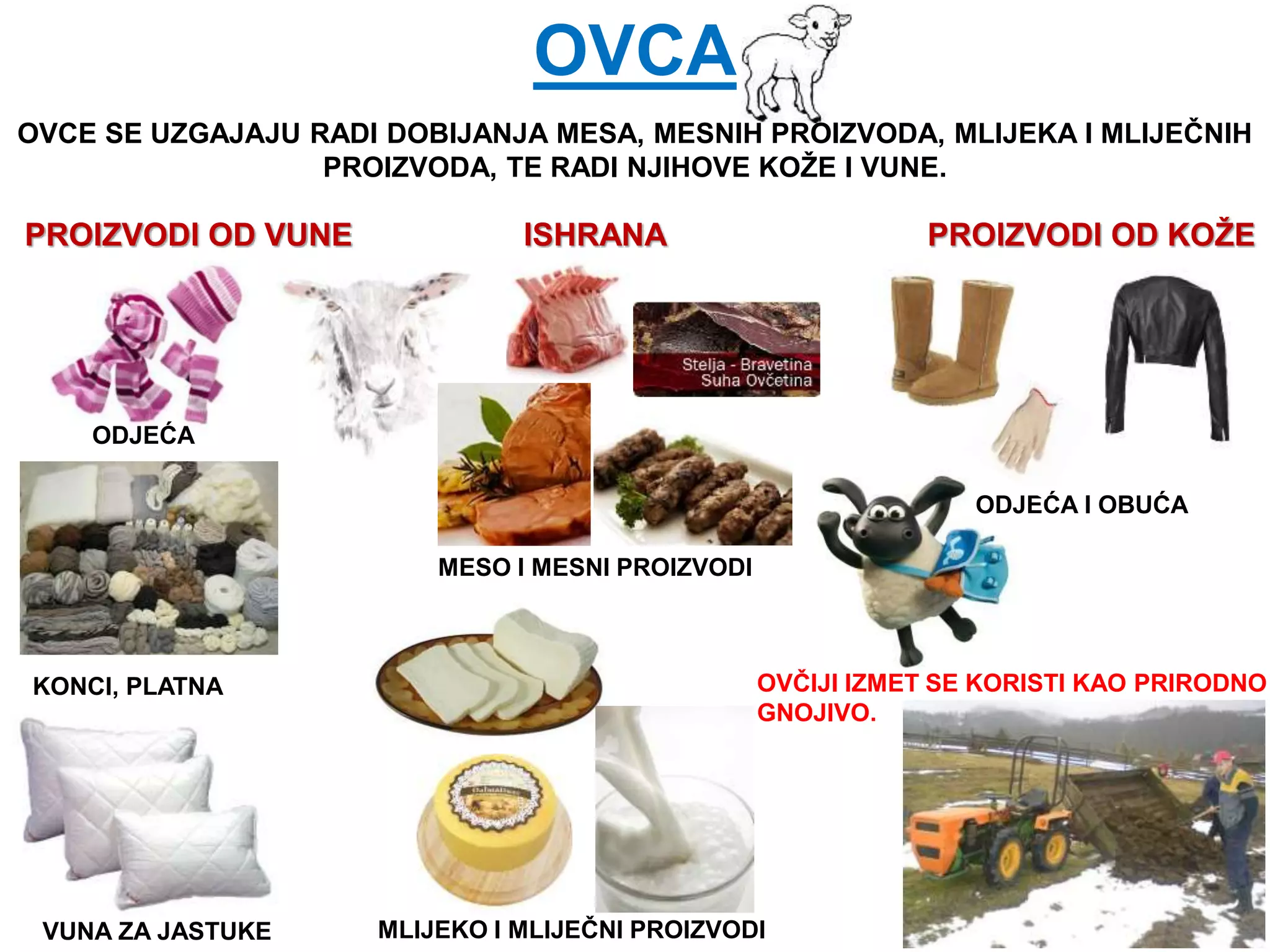 18. mo ishrana i koristi domacih zivotinja | PPT