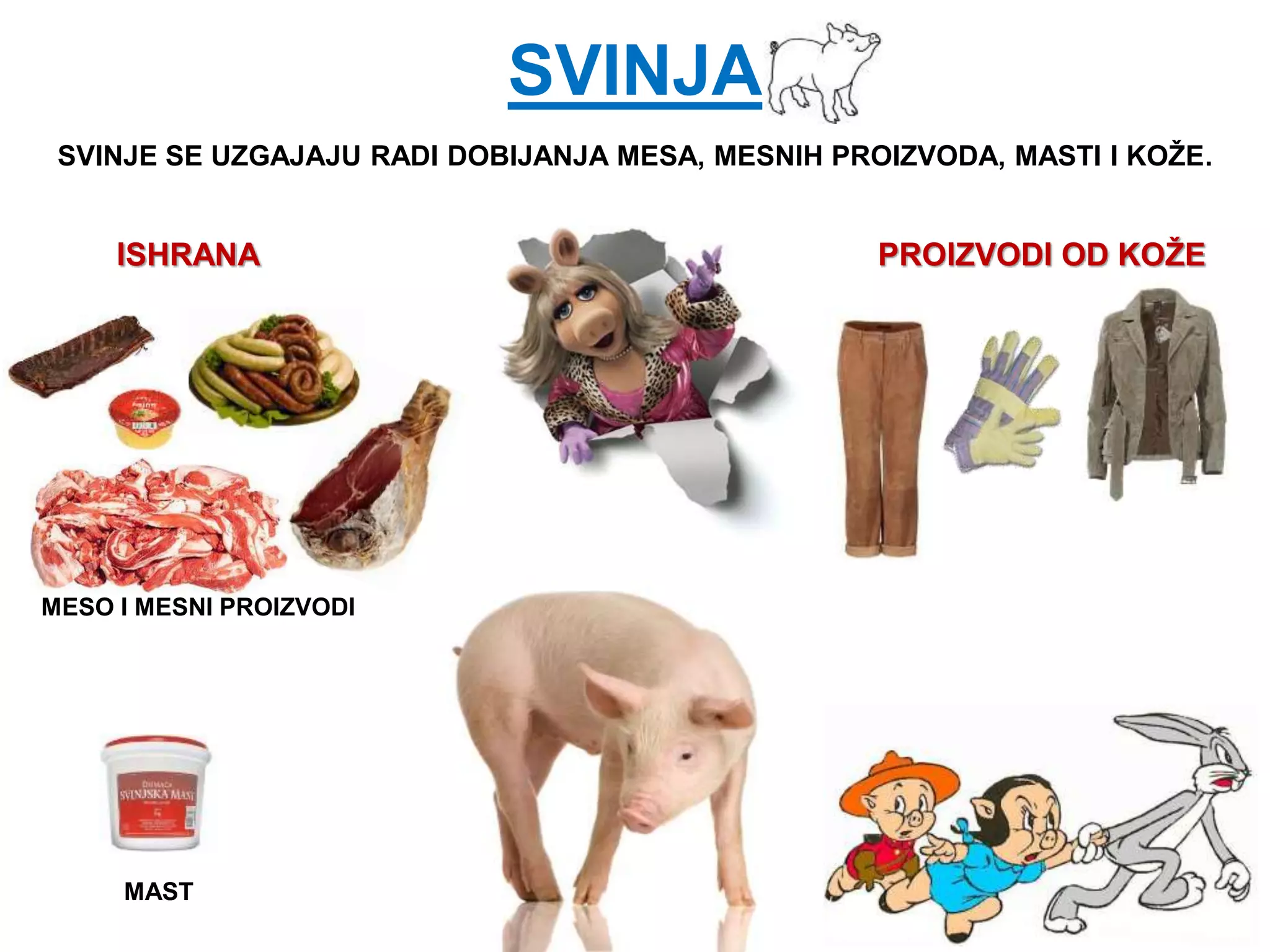 18. mo ishrana i koristi domacih zivotinja | PPT