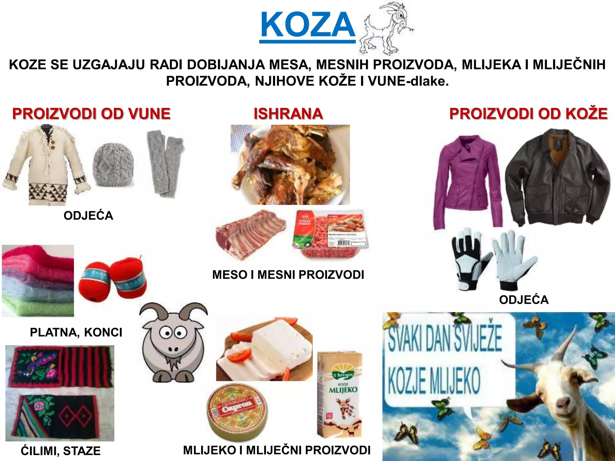 18. mo ishrana i koristi domacih zivotinja | PPT