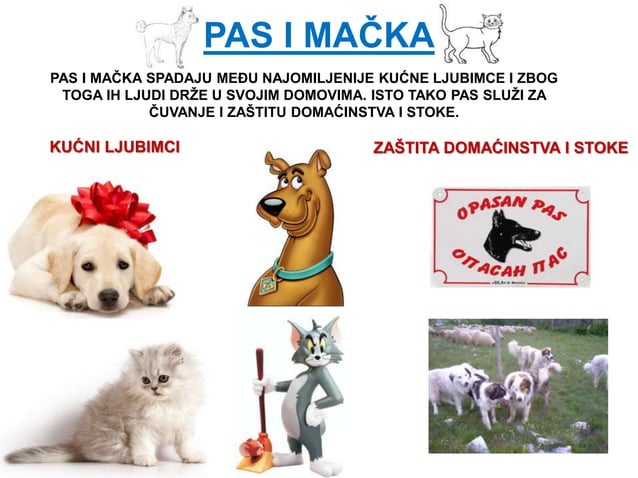 18. mo ishrana i koristi domacih zivotinja | PPT