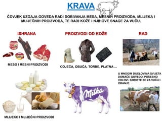 18. mo ishrana i koristi domacih zivotinja | PPT