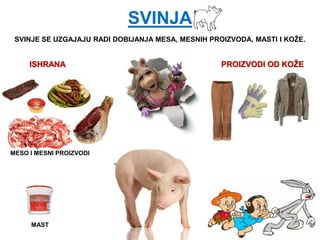 18. mo ishrana i koristi domacih zivotinja | PPT