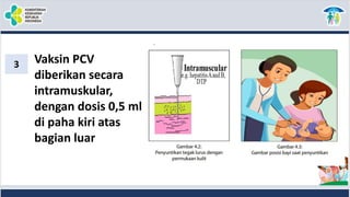 18.10.21_Teknis Pelaksanaan Imunisasi PCV.pptx
