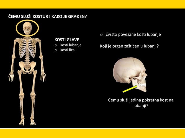 18.5._2020._7.razred_kretanje_covjeka.pptx | Free Download