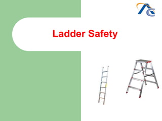 Ladder Safety.ppt