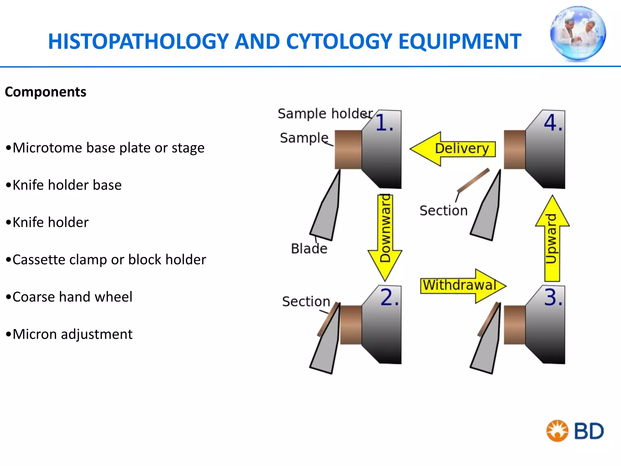 18.Histopathology Section.pptx | Chemistry | Science