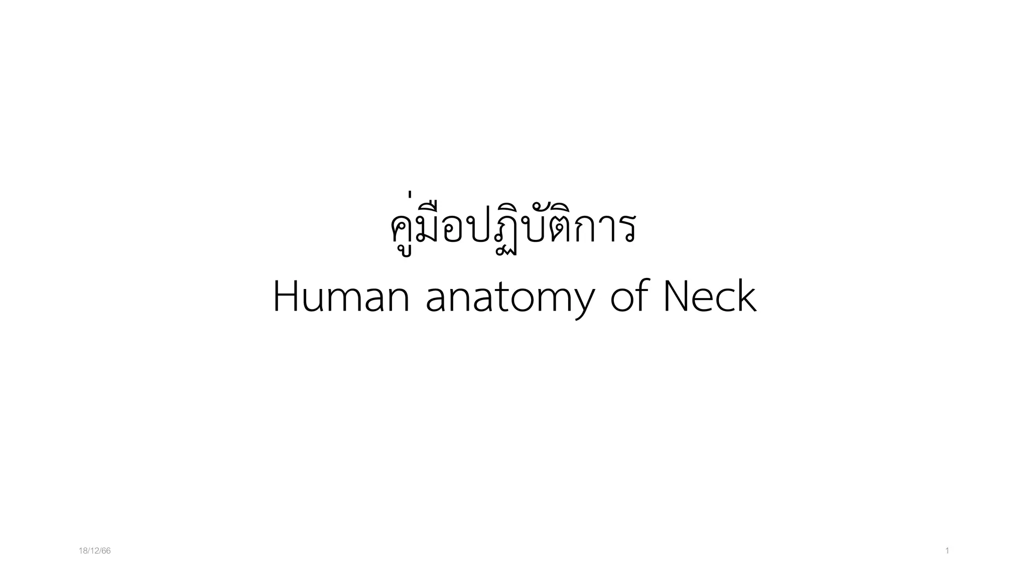 18.12.66_คู่มือLab_Neck-trunk_18.12.66.pdf