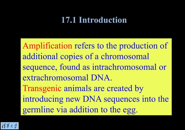 Rearrangement of DNA.ppt