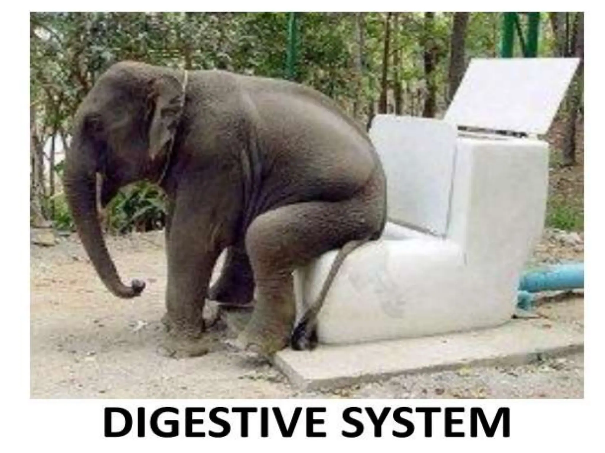 18. UNIT 5-GIT DRUGS_A_TK.pptx.......... | PPTX