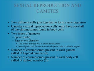 Meiosis Cell Division-Grade 11 STEM .ppt