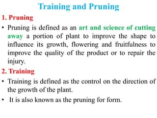 18. Training and prunning of horicultural crops.pptx