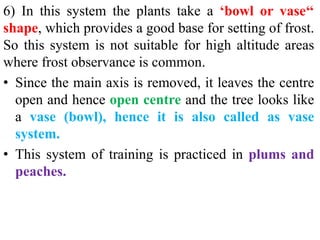 18. Training and prunning of horicultural crops.pptx