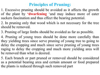 18. Training and prunning of horicultural crops.pptx