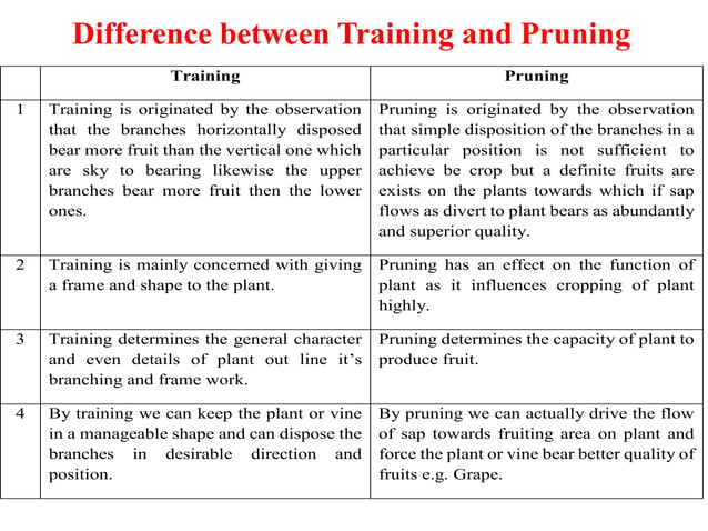 18. Training and prunning of horicultural crops.pptx | Gardening | Home ...