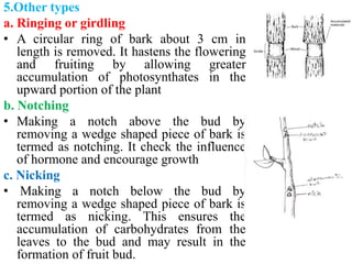 18. Training and prunning of horicultural crops.pptx
