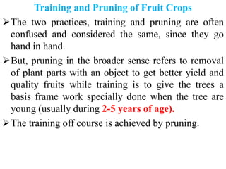 18. Training and prunning of horicultural crops.pptx